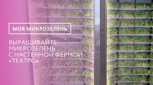 Выращивайте микрозелень с настенной фермой «Театро» в любом помещении