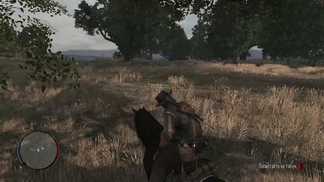 Red Dead Redemption 1 (Часть 2)