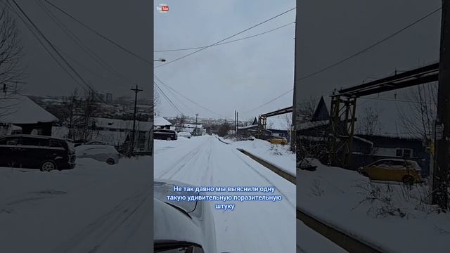 Алдан Дражный. Пер. Лабуня. (Заводской) 5 ноября 2024. #улицыалдана #саха #якутия #shorts