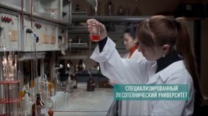 Лесные ресурсы и деревообрабатывающая отрасль Свердловской области