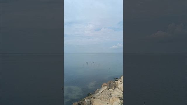 Тамань чистейшее море штиль 2024