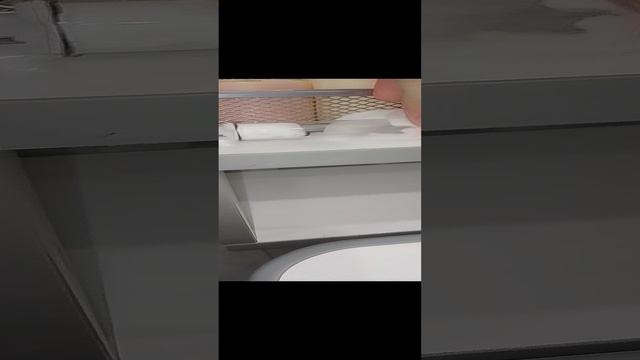 пересилил муравьёв в пробирку