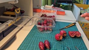 Сравнение плодов зимостойких кактусов Opuntia phaeacantha "Orangeade" и Opuntia "Orang-i-tang".