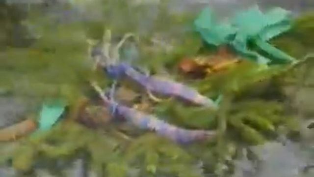Обряд венчания -видеоклип