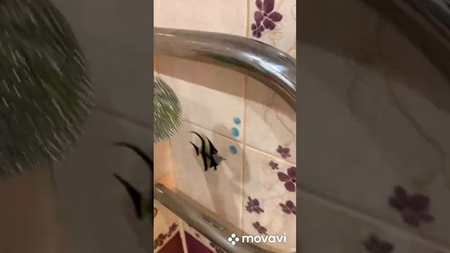 ГЛУБОКАЯ УБОРКА В ВАННОЙ КОМНАТЕ/Deep cleaning in the bathroom/