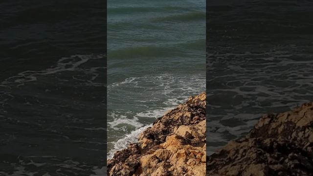 Свадебное платье Сальма коллекция «Flowers of Dawn» 2025, Gabbiano