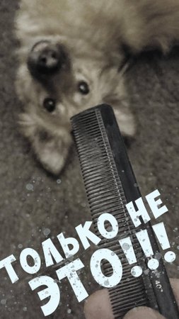 Триллер с неожиданным финалом