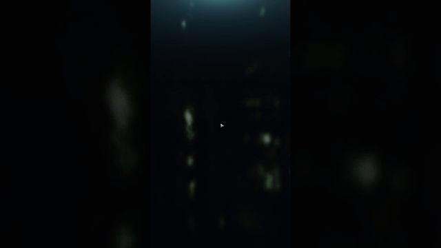 Жил с кайфом и умер с кайфом..... в Escape from Tarkov