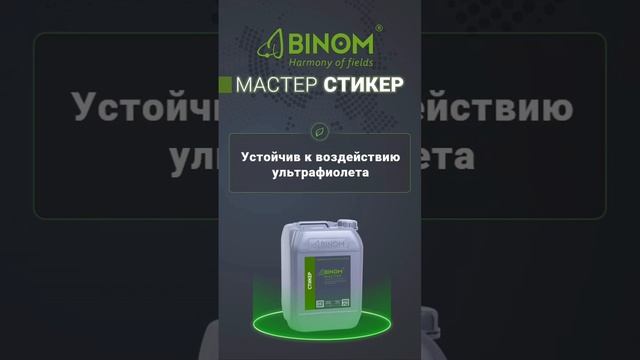 BINOM Мастер Стикер