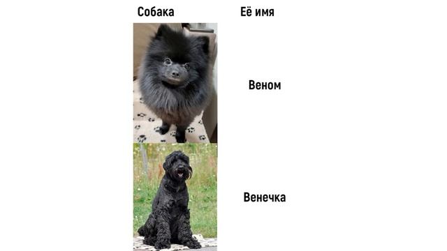 📹 ВАТСАПКИ ))) | Приколы | Мемозг 1515 
👤 #Alexey_Sova