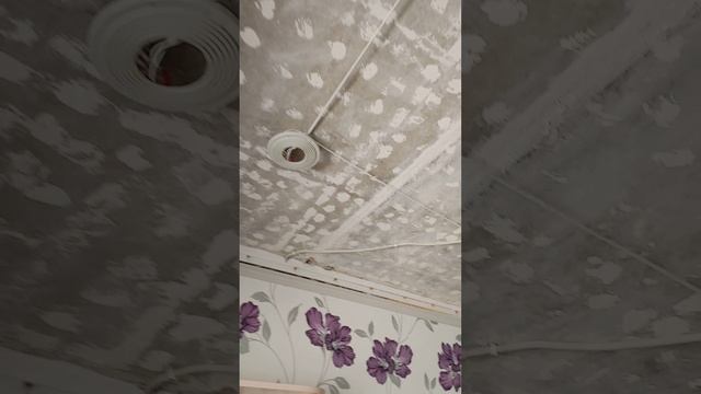 СПАСЛИ ПОТОЛКИ ОТ ЗАТОПА Восстановление натяжных потолков после затопа #shorts #натяжныепотолки