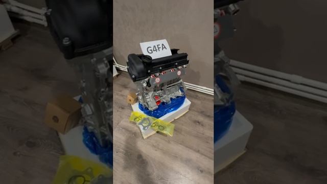 g4fa (4)