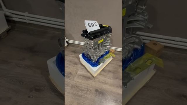 g4fc fk(3)