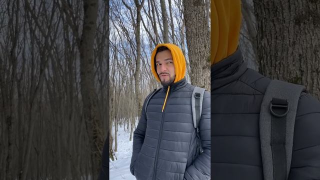 Почему я по утрам ухожу в лес?