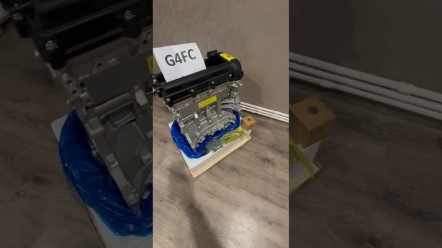 g4fc fk (2)