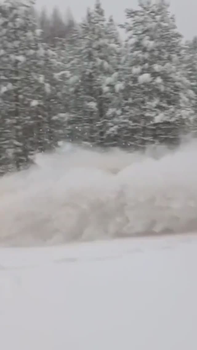 Петровская верста  mitsubishi evo8,subaru WRX #петровская верста #апельсиновыйволк #apelsinoviyvolk