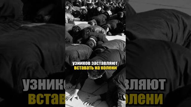 Какие ужасы творились в концлагере Хверен?