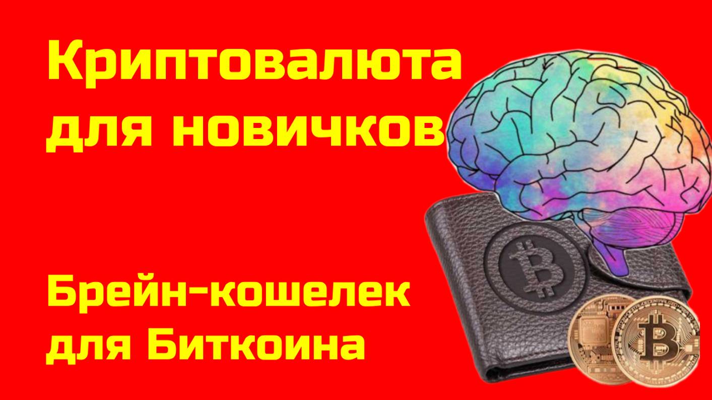 Биткоин: брейн-кошельки для хранения |Криптокошельки | Крипта для новичков