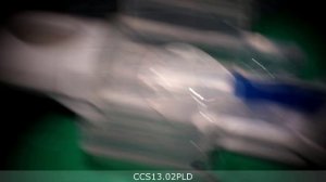 CCS13_02PLD