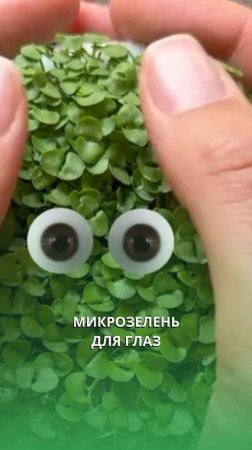 Натуральная добавка для вашего зрения, обязательно выращивайте дома! Микрозелень для зрения #shorts