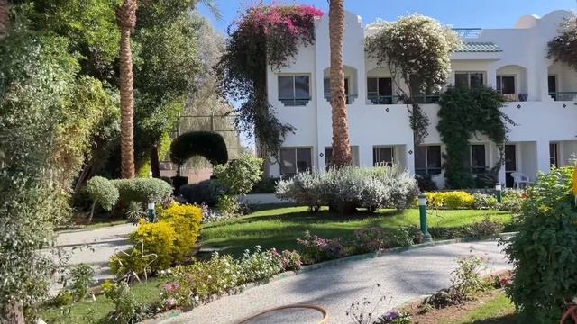 Falcon Hills Шарм Эль Шейх. Отдых в 2022 году