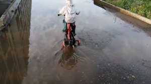 Эмиль из Лённеберги и потерянный сапог