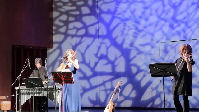 Елена Фролова - "Музыку жаль" ст. Лариса Миллер муз. Елена Фролова