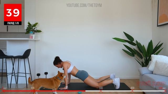 TGYM - УБЕЙ ЖИР 9 Тренировки Для Похудения ДОМА