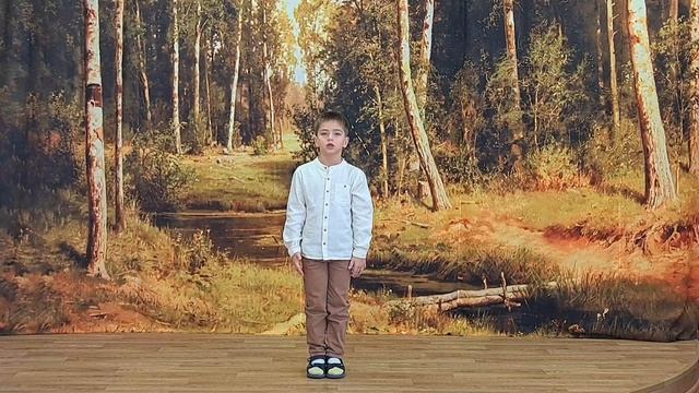 Вороненко Леонид, МАДОУ №83, г.Хабаровск