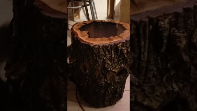 полый пенек с эпоксидкой и подсветкой своими руками