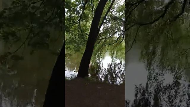 VID 20180519 151230