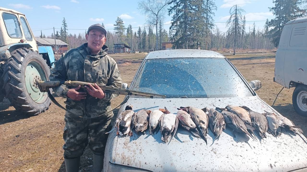 Строим скрадок и охотимся на уток