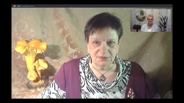 Вопросы и ответы. Выпуск № 4. Беседы с грибоведами.