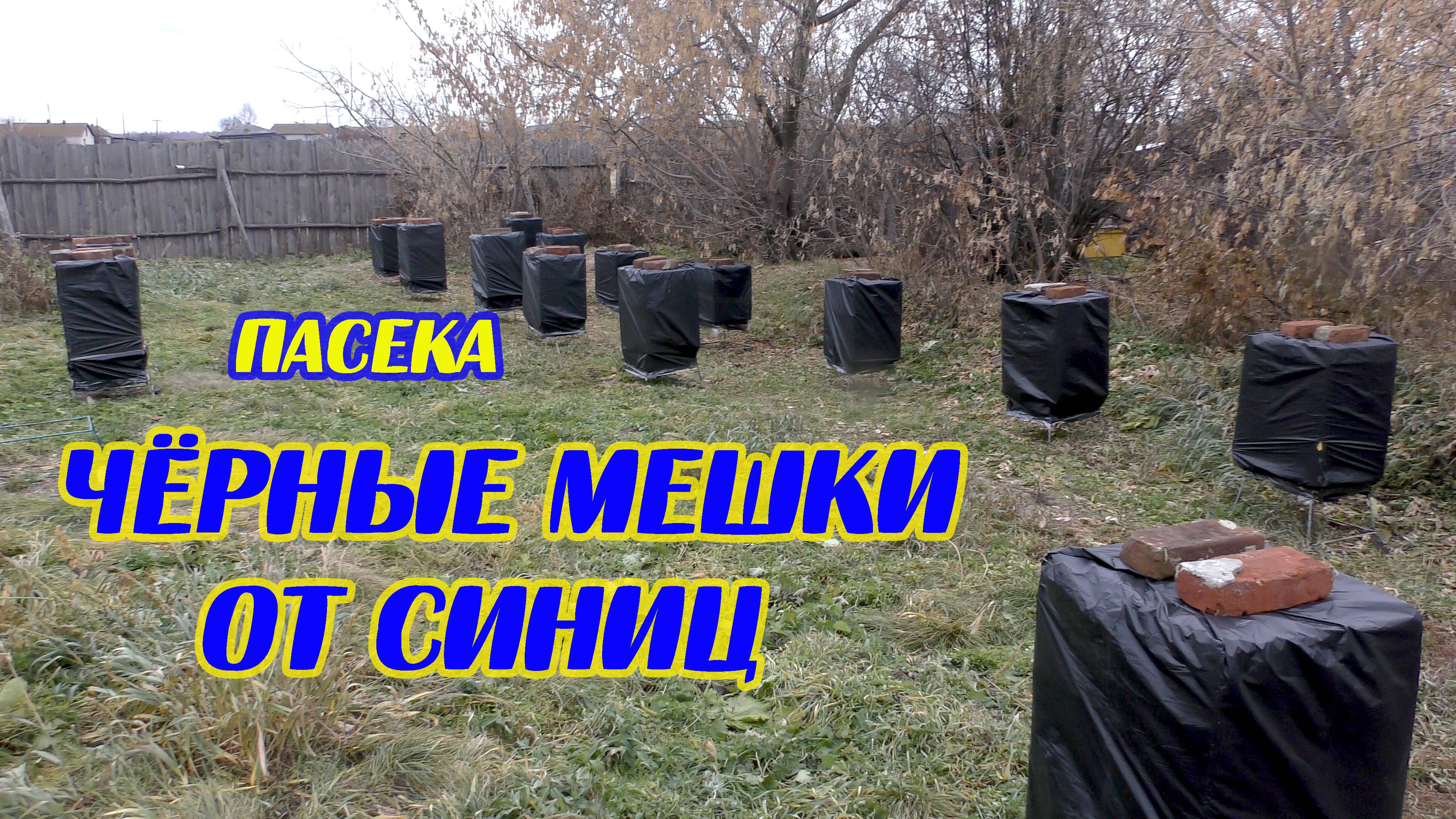 Пасека. ЧЁРНЫЕ МЕШКИ от синиц