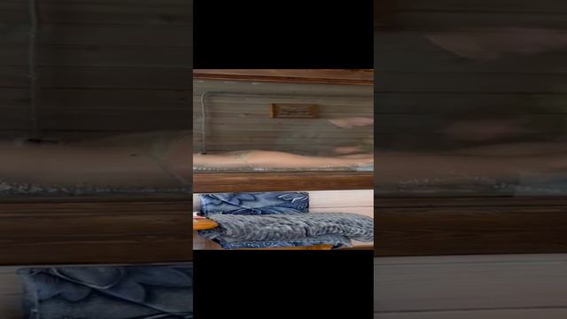 09-11-2024