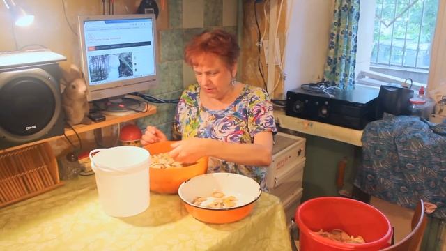 Засолка грибов. Видеокурс. Часть 3  Мытьё грибов после вымачивания