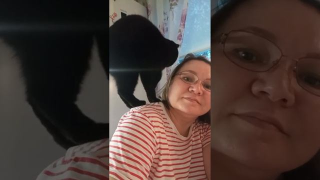 Кошка Милка и самое святое