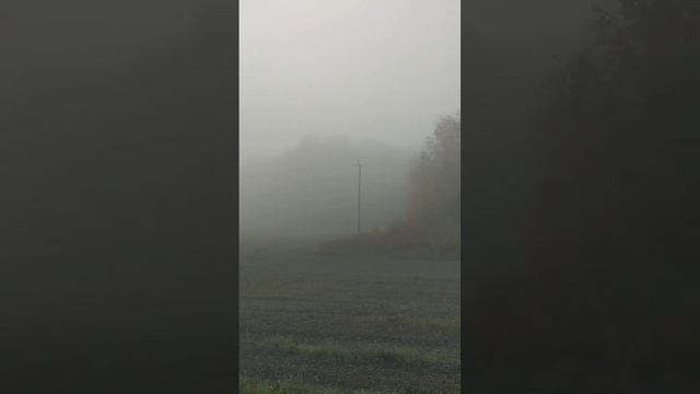 Туман. Дорога на рыбалку . #рыбалка