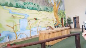 Pafos Zoo. Parrot show