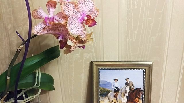 КАК ПОССОРИТЬ МУЖА С СОПЕРНИЦЕЙ.