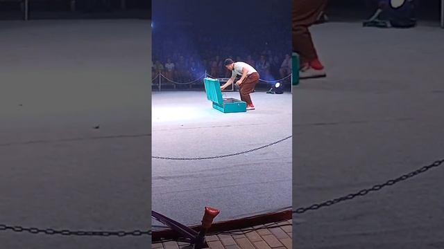 По размеру!