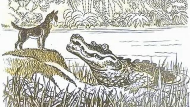 Сказка о шакале и крокодиле