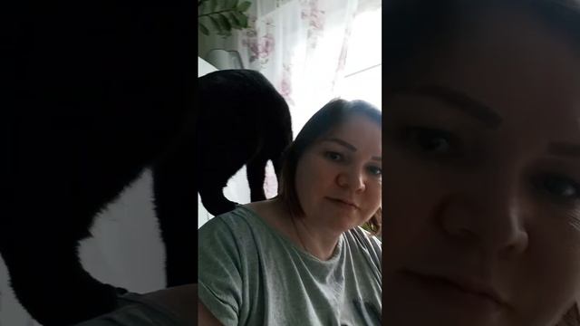 Кошка Милка и любовная любоф