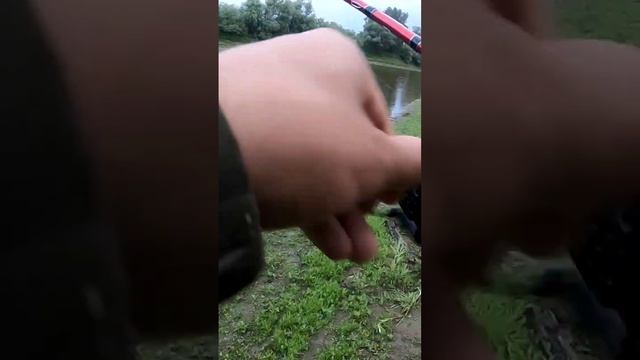 Окунь на джиг. Река Омь.