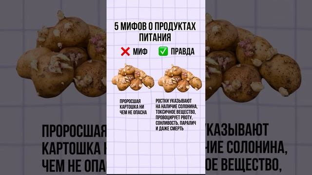 -1724626812584319683