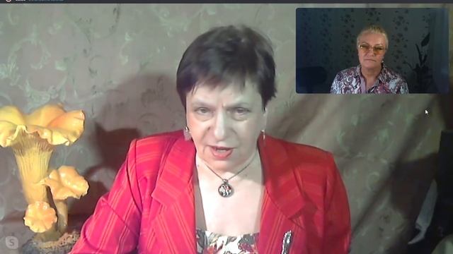 Беседы с Грибоведами.  Выпуск 2.  28 января 2020 года.