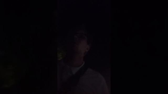 Жизнь фарша. Этичное познание. В Ингушетии не танцуют бачату.