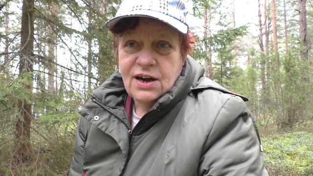 Сыроежка селёдочница - лучшая из сыроежек.