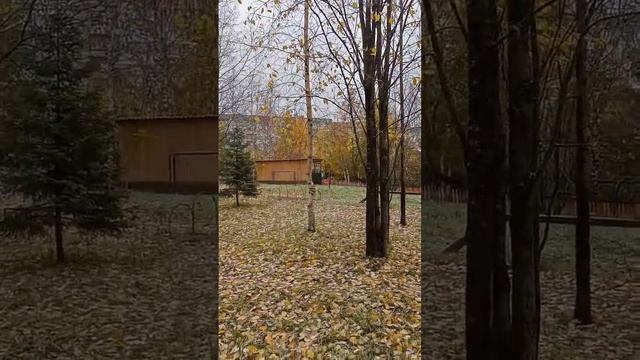 Облетают последние листья...