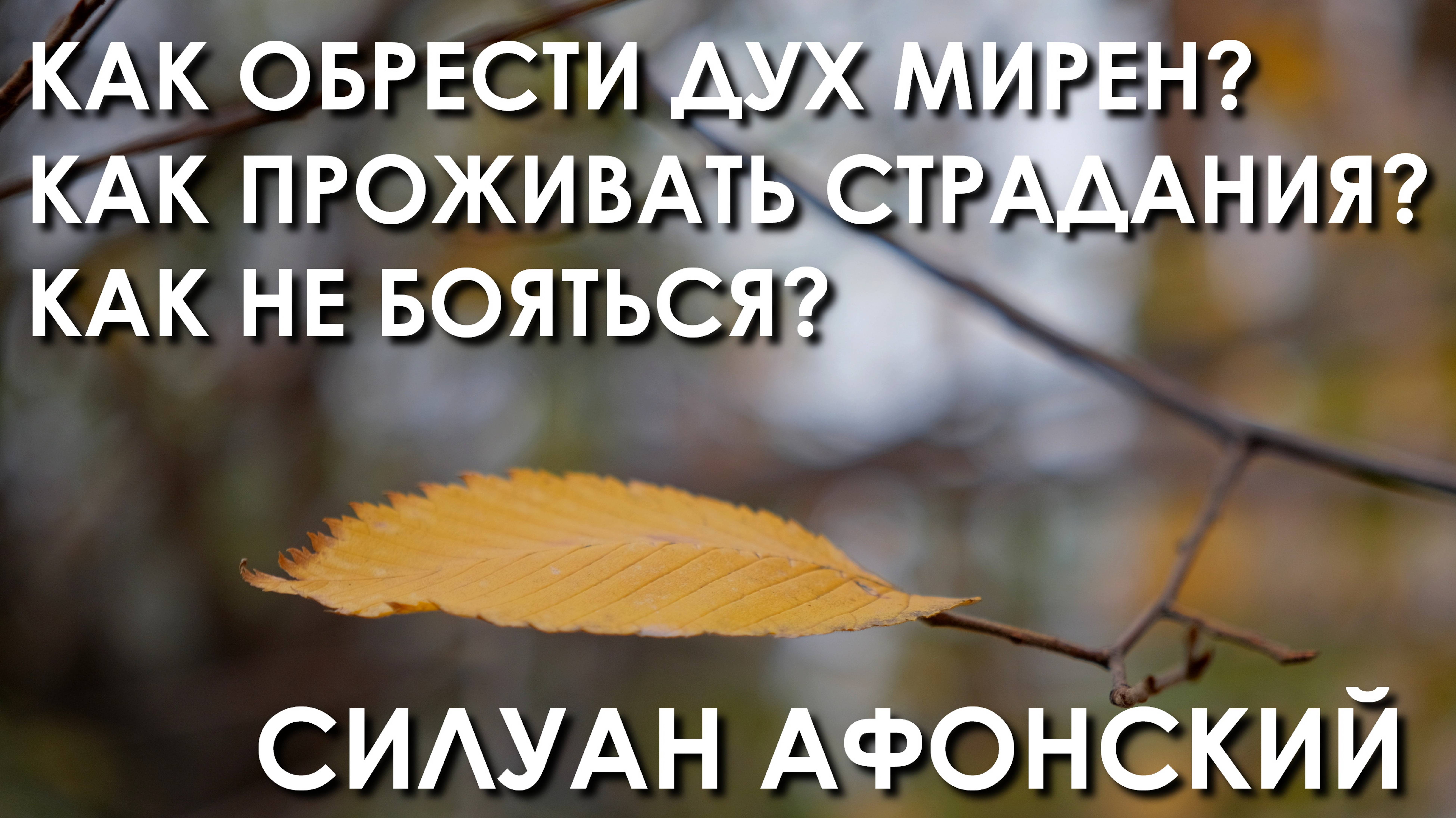 КАК ОБРЕСТИ ДУХ МИРЕН / СИЛУАН АФОНСКИЙ / Беседа по поучениям преподобного №33